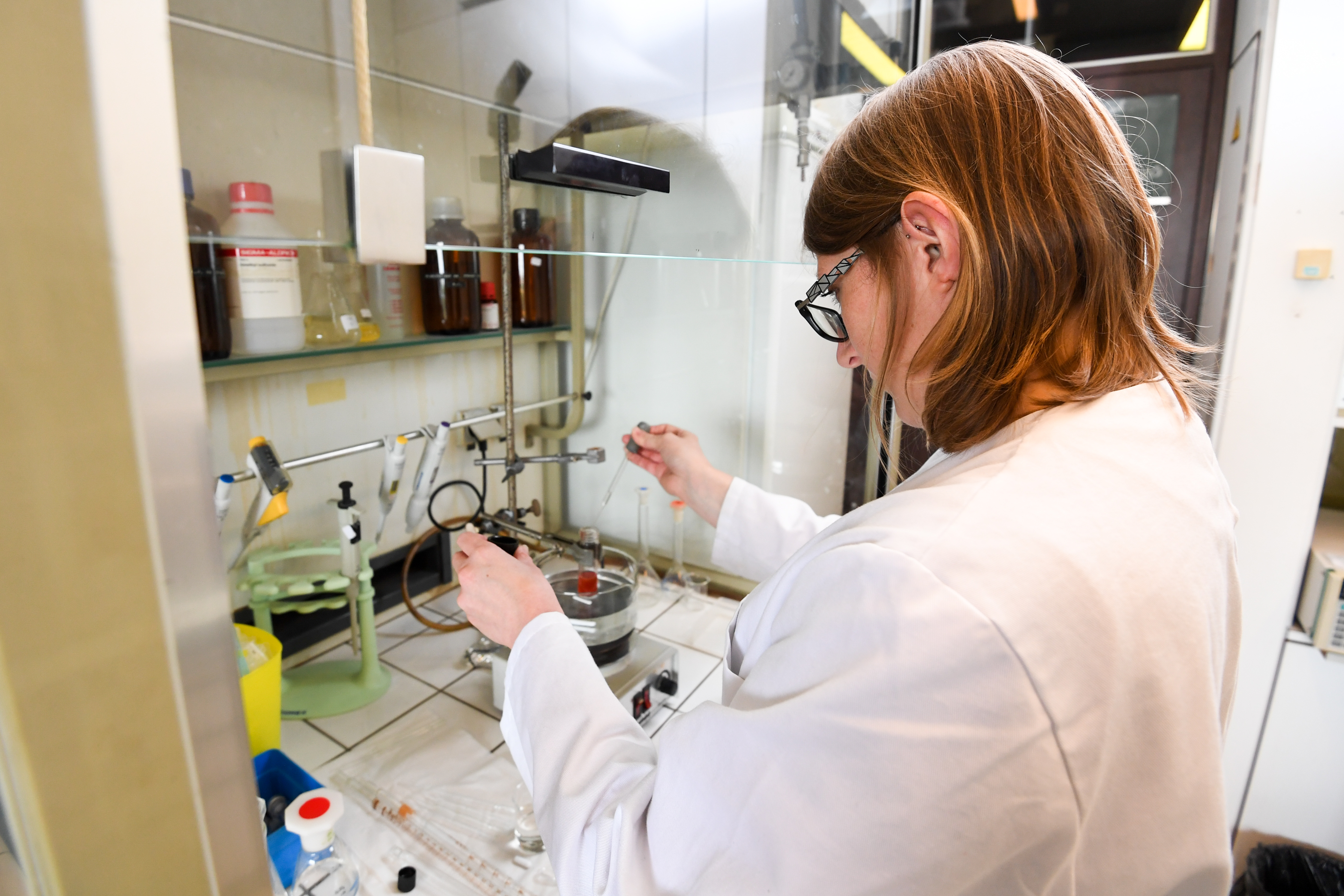 Le Doctorat à l'ULB - Faculté de Médecine